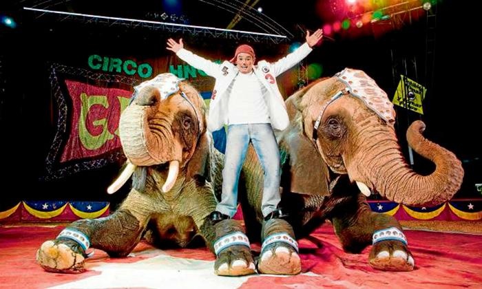 Circo Frandán de los Hnos. Fuentes Gasca: Entrada general, preferencial ...