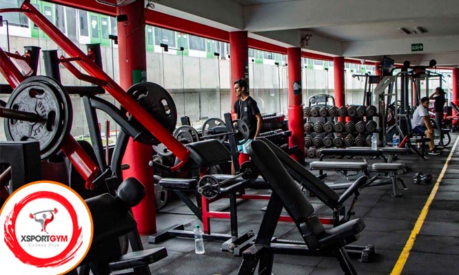 1, 3 o 6 meses de membresía en Gym Xsportgym | Cuponidad
